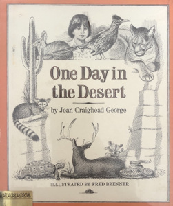 One Day in the Desert - Biblioguides