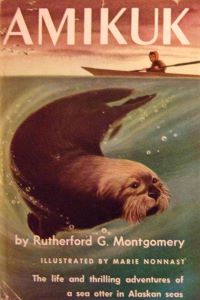 Amikuk - Biblioguides