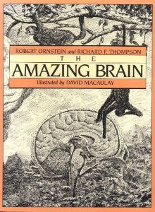 The Amazing Brain - Biblioguides
