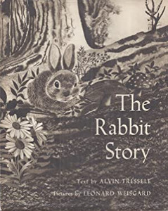 The Rabbit Story - Biblioguides