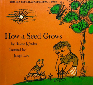 How a Seed Grows - Biblioguides