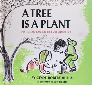 A Tree is a Plant - Biblioguides