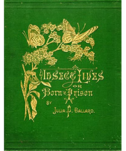 Insect Lives or Born in Prison - Biblioguides