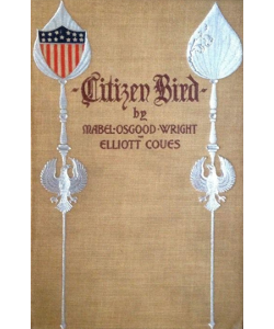 Citizen Bird: Scenes from Bird-Life in Plain English for Beginners ...