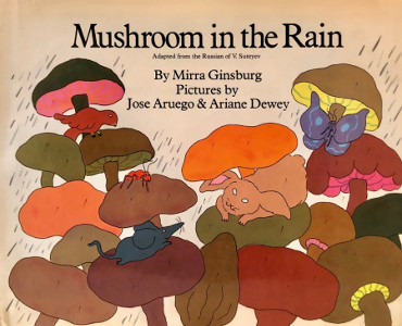 Mushroom in the Rain - Biblioguides