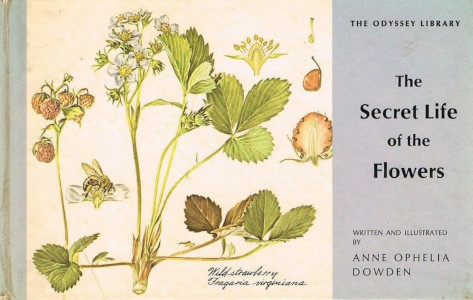 The Secret Life of Flowers - Biblioguides
