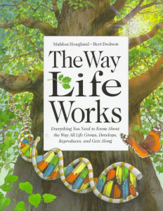 The Way Life Works: Everything You Need to Know About the Way All Life ...