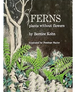 Ferns: Plants Without Flowers - Biblioguides
