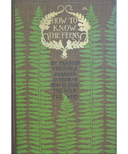 How to Know the Ferns: A Guide to the Names, Haunts, and Habits of Our ...