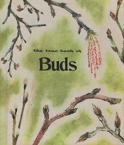 The True Book of Buds: Surprise Packages - Biblioguides