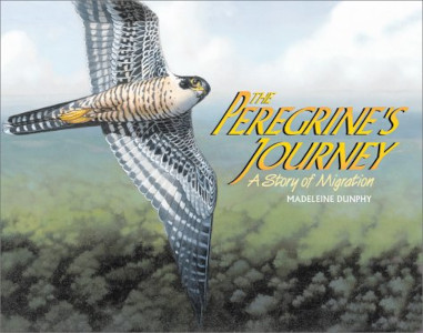 The Peregrine's Journey: A Story of Migration - Biblioguides