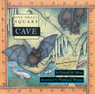 One Small Square: Cave - Biblioguides