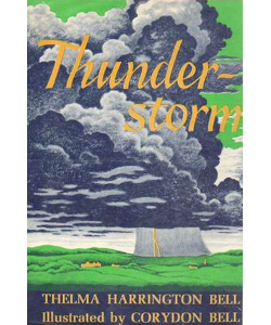Thunderstorm - Biblioguides
