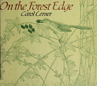 On the Forest Edge - Biblioguides