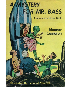 A Mystery for Mr. Bass - Biblioguides