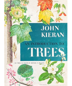 An Introduction to Trees - Biblioguides