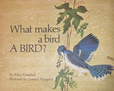 What Makes a Bird a Bird? - Biblioguides