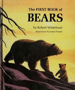 The First Book of Bears - Biblioguides