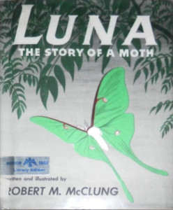Luna: The Story of a Moth - Biblioguides