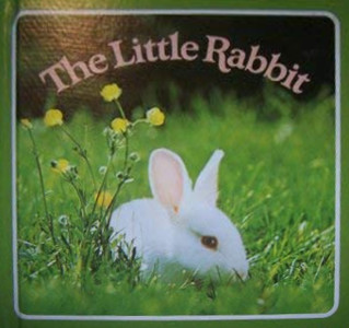 The Little Rabbit - Biblioguides