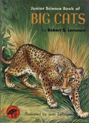 Junior Science Book of Big Cats - Biblioguides