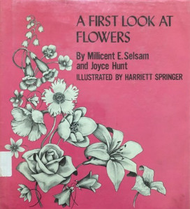 A First Look at Flowers - Biblioguides