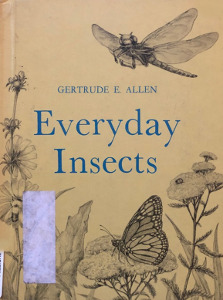 Everyday Insects - Biblioguides